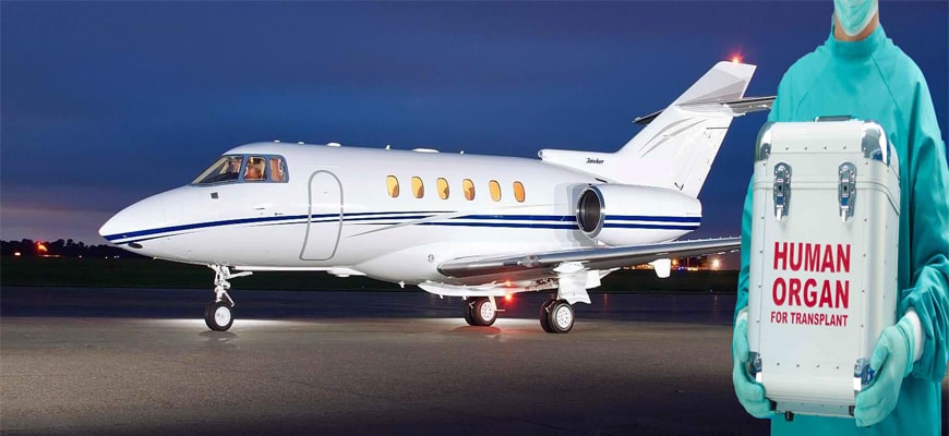 Organ Transportation